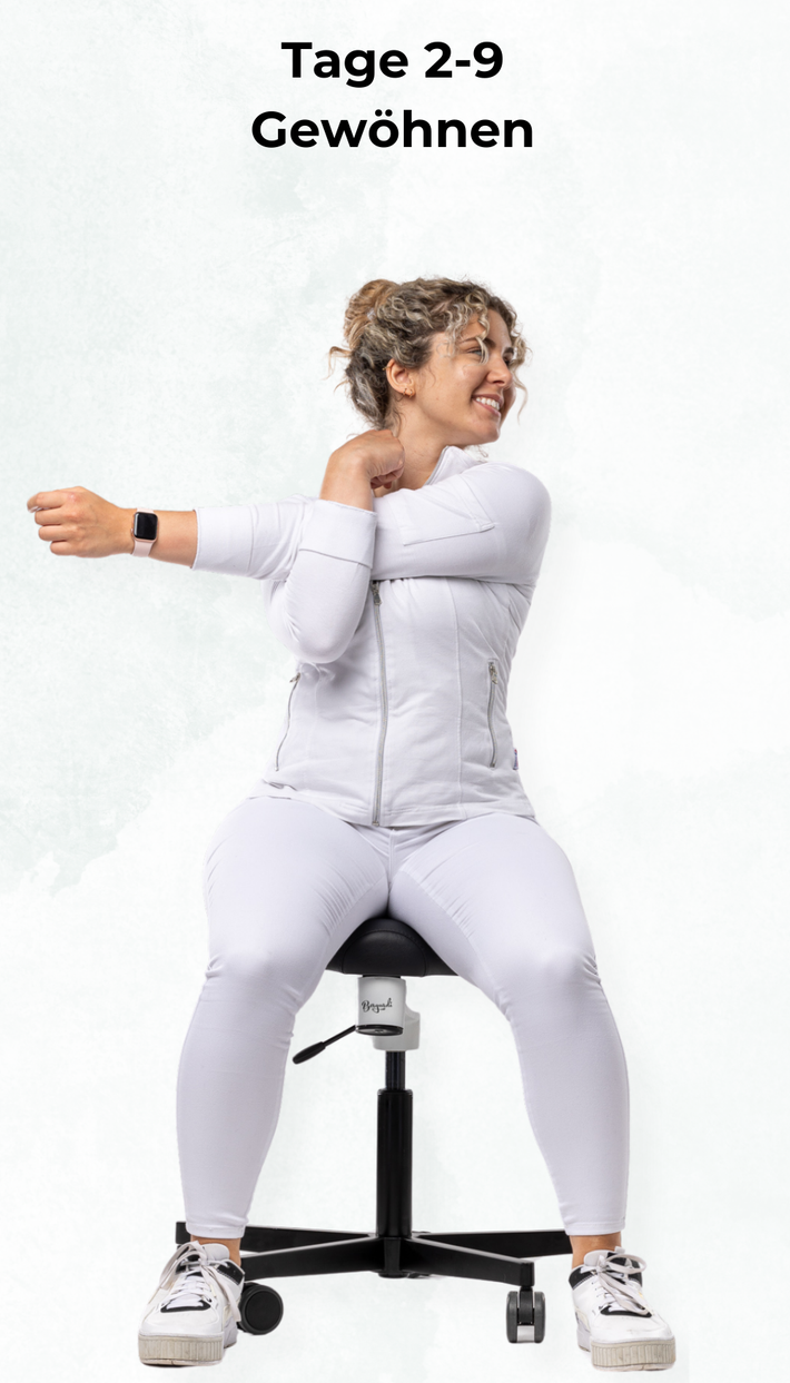 Bergardi - Ergonomische und bewegte Bürostühle | Gesund sitzen